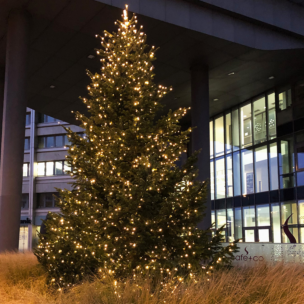 Weihnachtsdekoration & Miet-Christbäume - ART DEKO